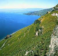 Tour de Suisse en dix vins emblématiques – Œnophilegood, le blog des ...